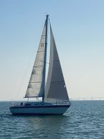 Sailagram: A Snapshot of January Sailing