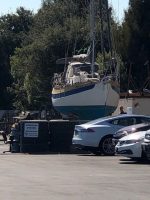 Sailagram: A Snapshot of January Sailing