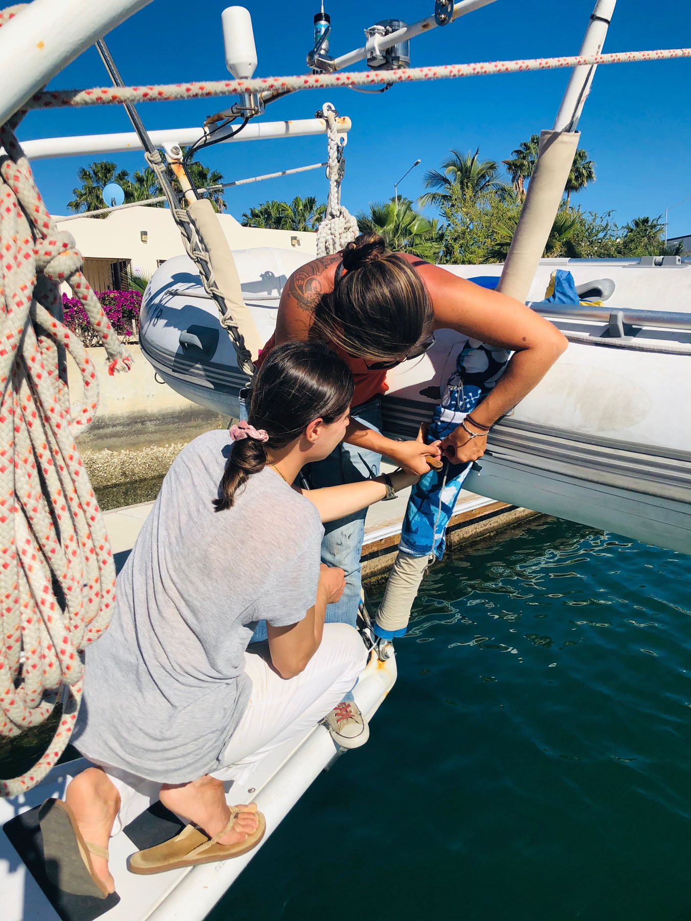 The Schooner Seaward Is Heading North - Latitude38