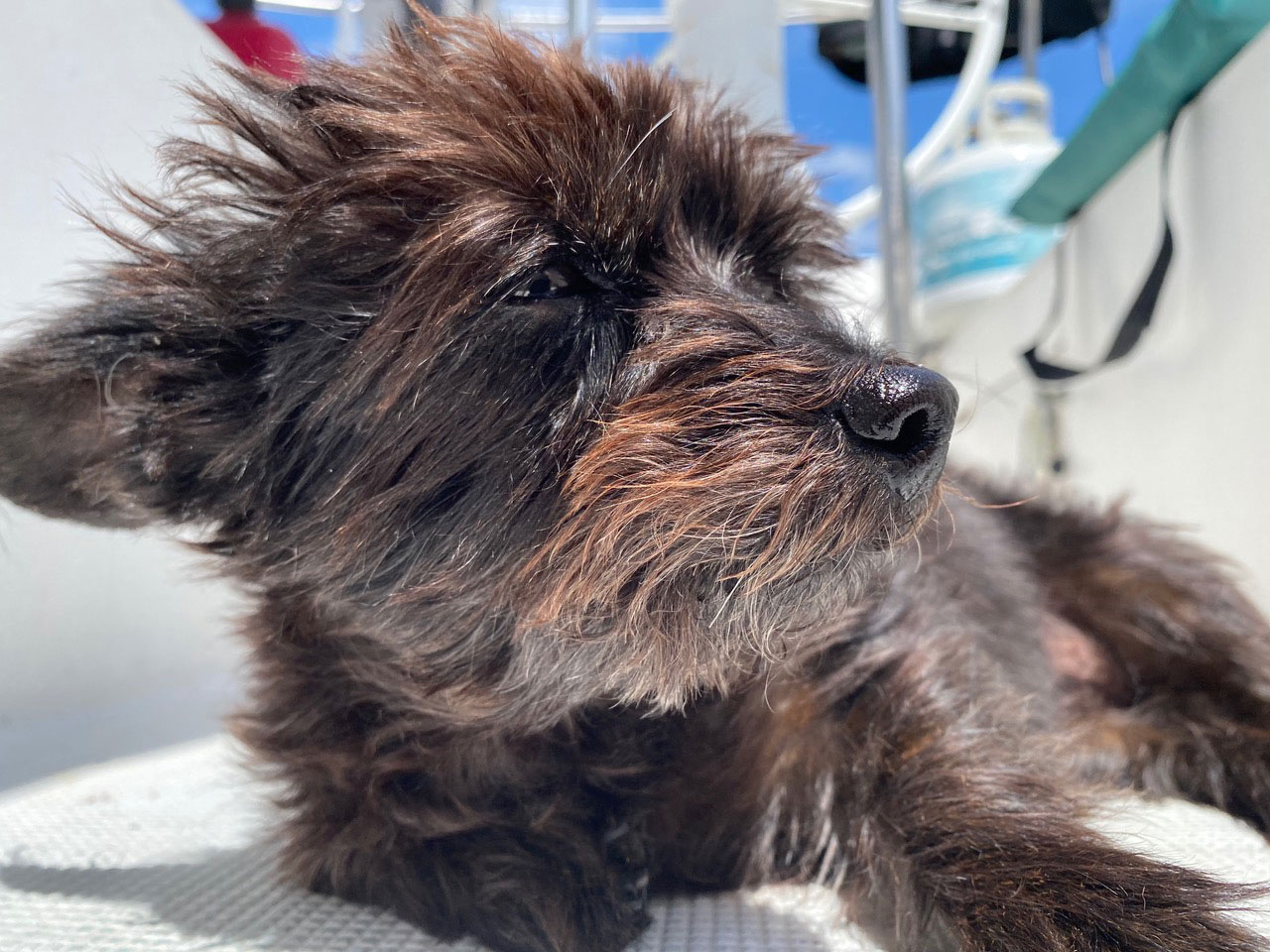 Monterey Bay Instead of the Pacific Cup