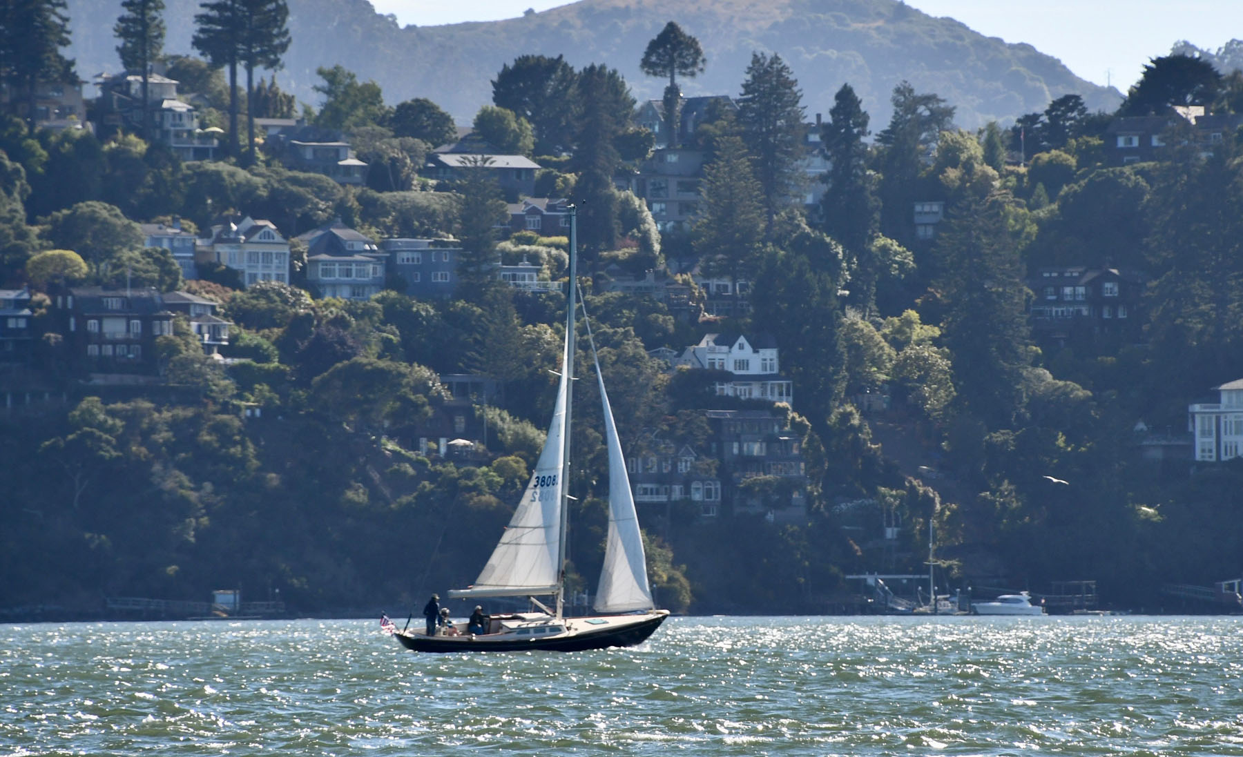 Weekend Sailing on San Francisco Bay Was Looking Good