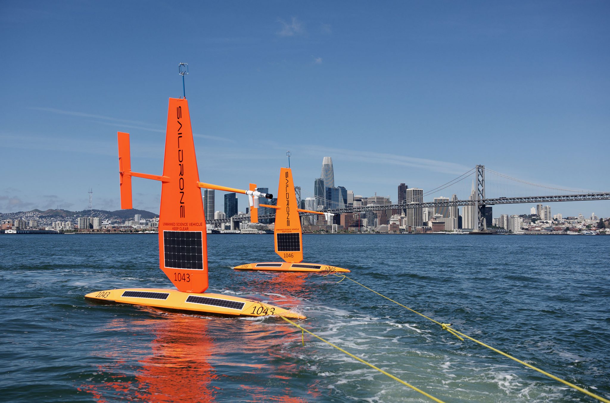 Counting Fish with Sailing Robots