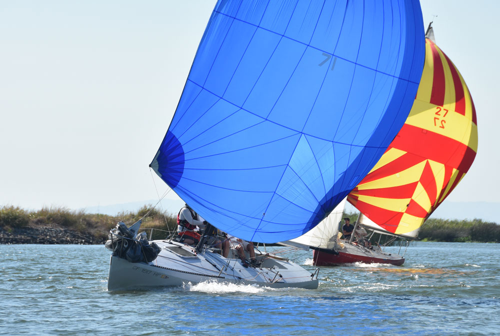 Seven Moore 24s Happen to Sail to Stockton on the Same Day