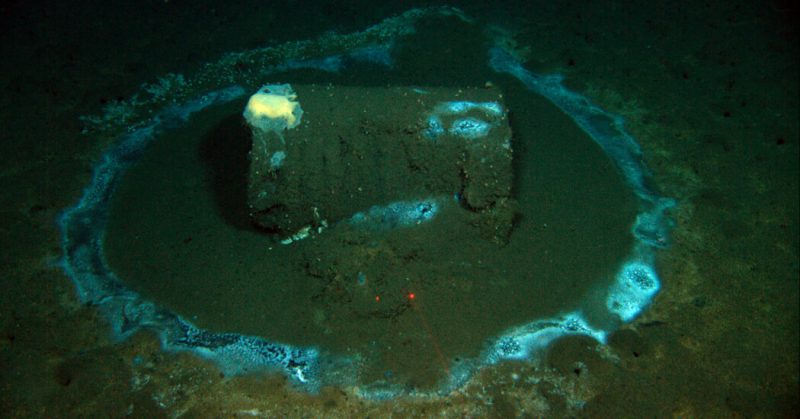 25,000 Barrels of DDT Discovered Between Long Beach and Catalina Island