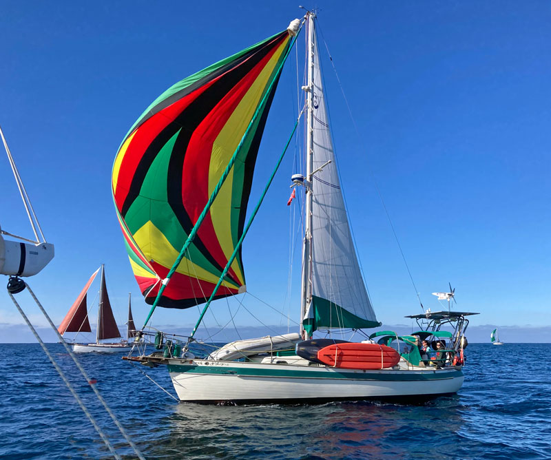 Views of the Baja Ha-Ha