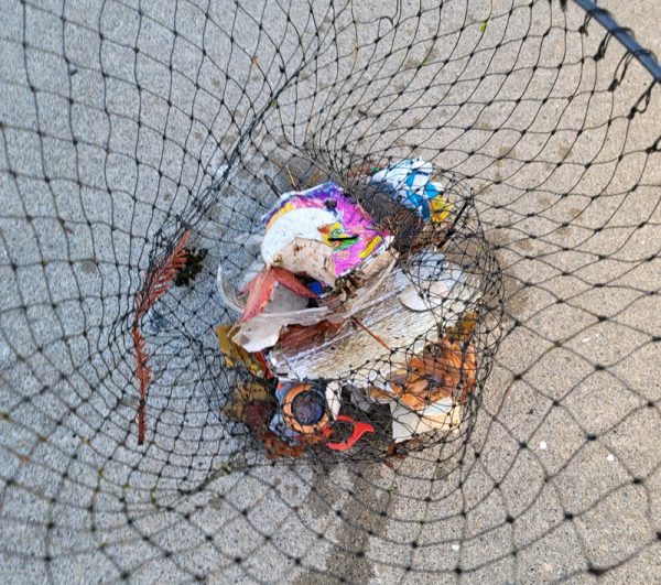 Why You Might Need a Fishing Net