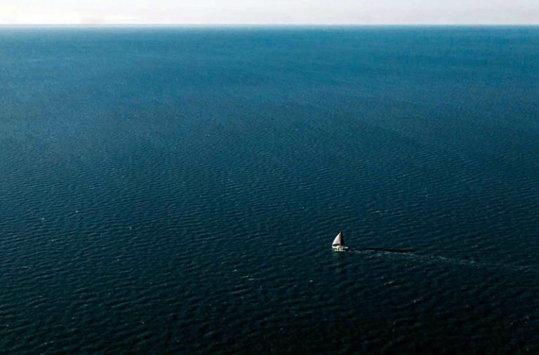 Ryan Finn and Jzerro Can Smell the Barn