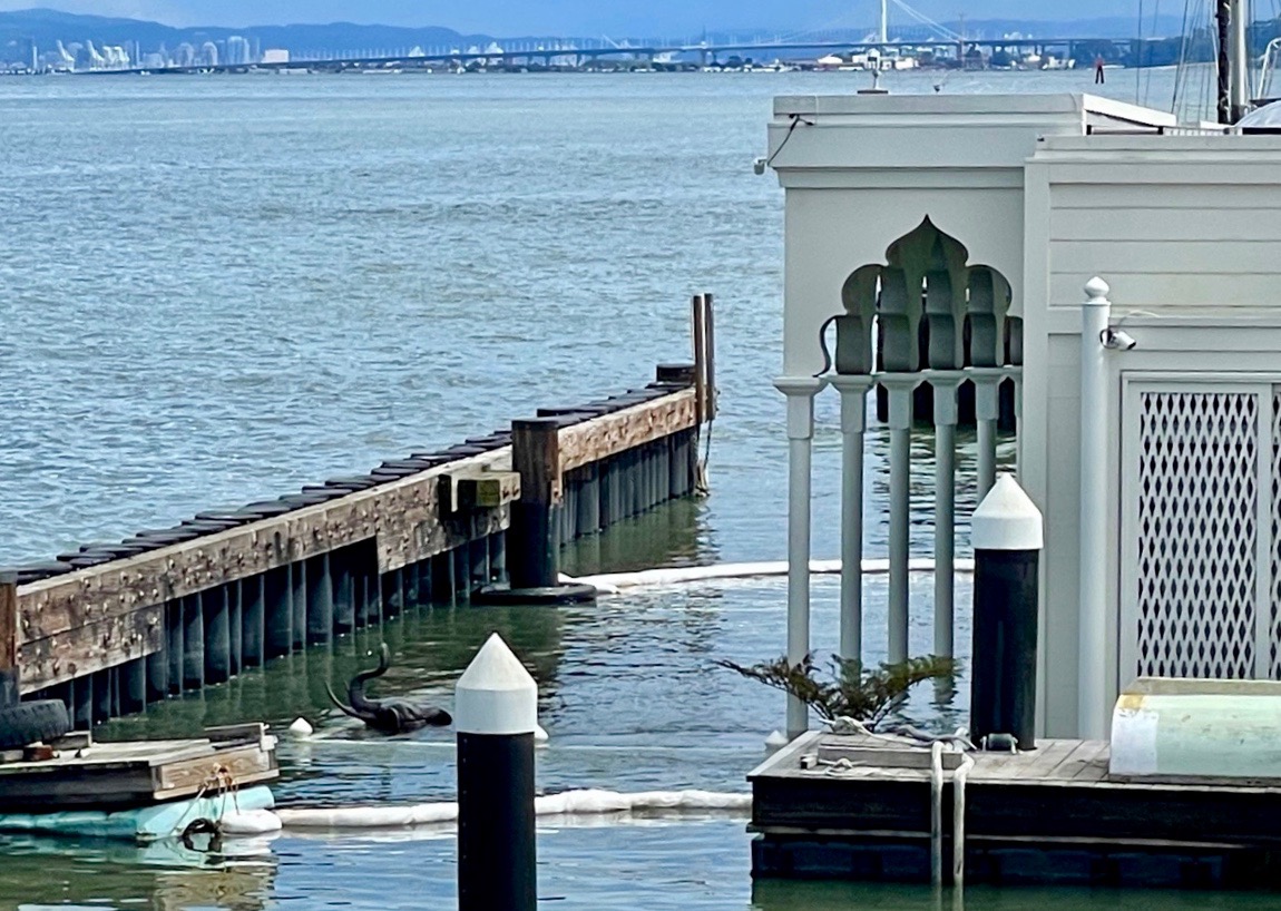 The Taj Mahal Is Floating Once Again