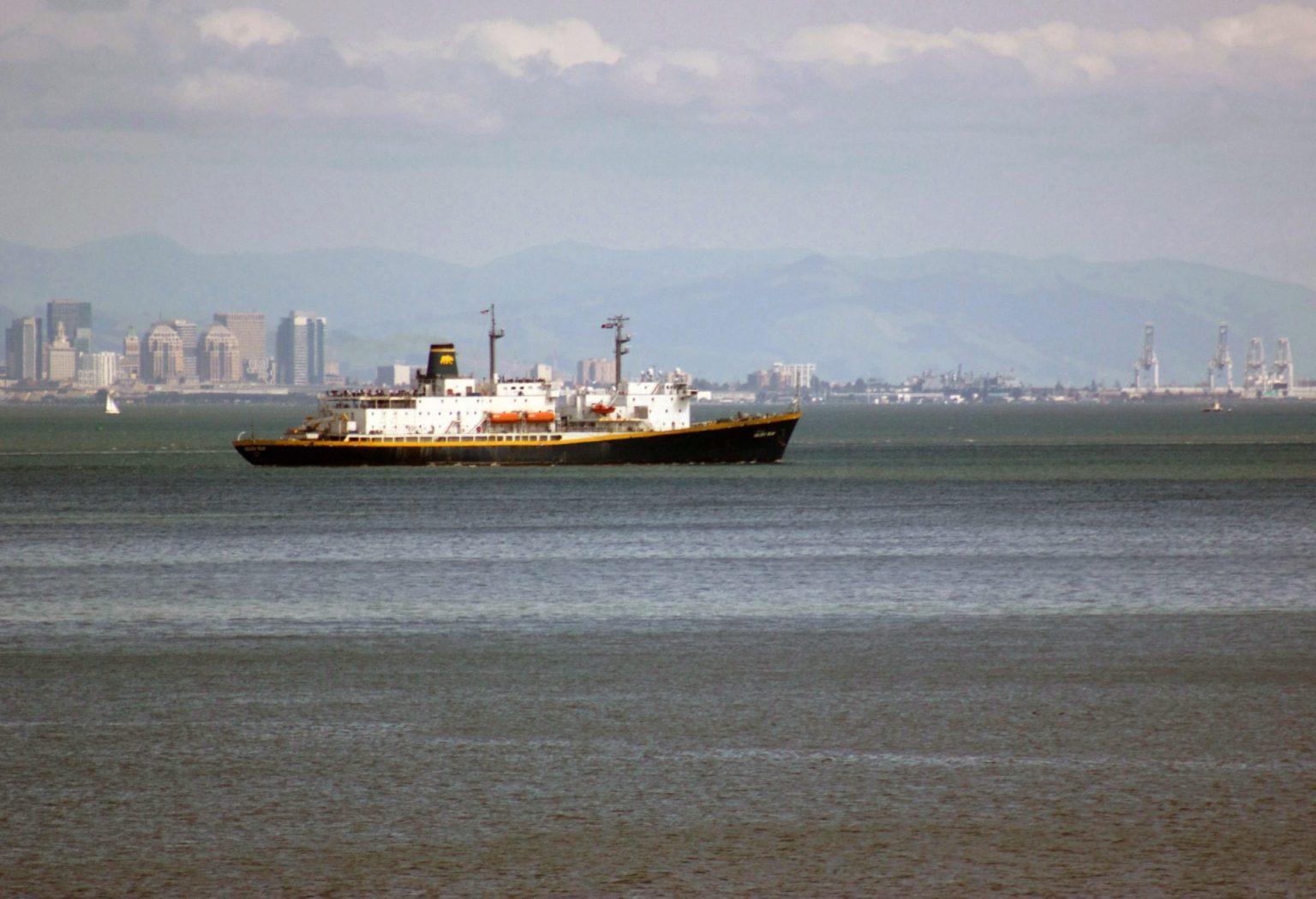 Catching Cal Maritime's 'Golden Bear' Coming and Going