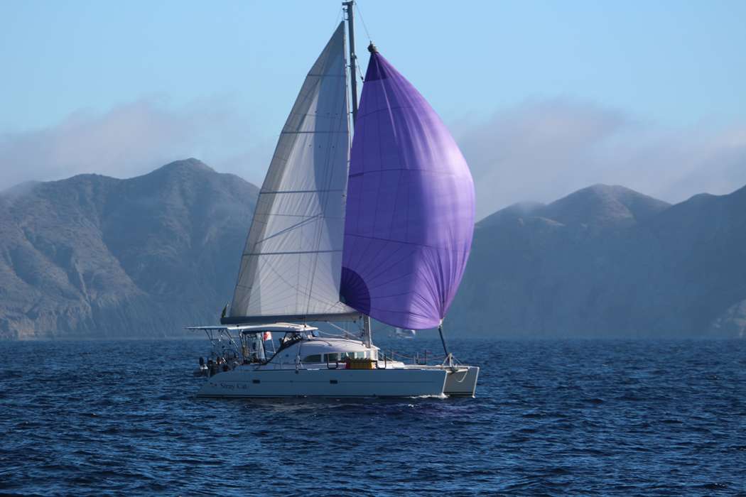 2018 Baja Ha-Ha Sailors — Where Are They Now?
