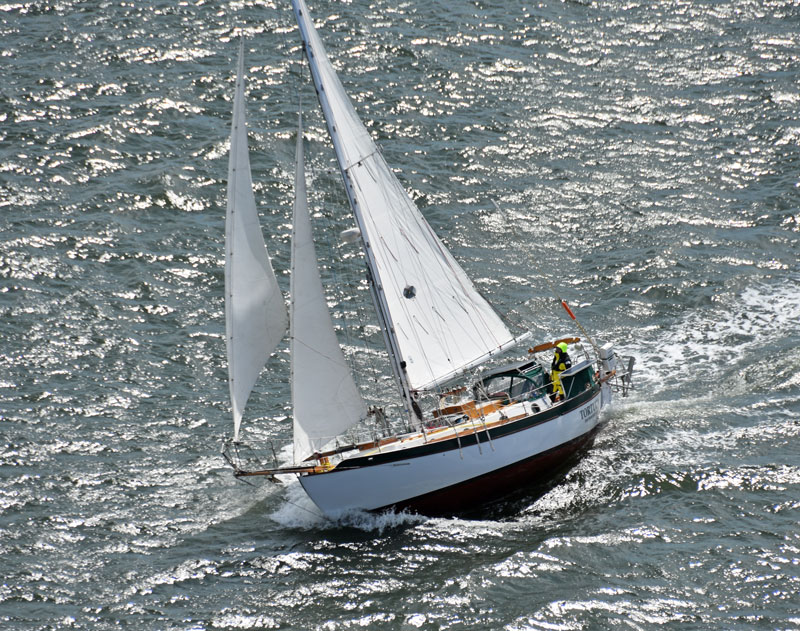 Seventeen Solo Sailors Set Out to Sea