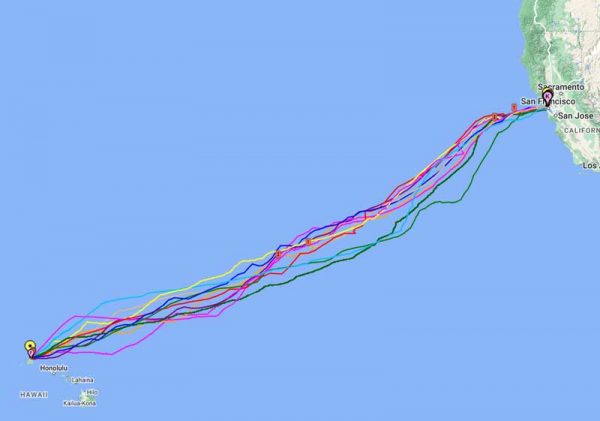 First Weekend of Summer and the Singlehanded Transpac - Latitude38