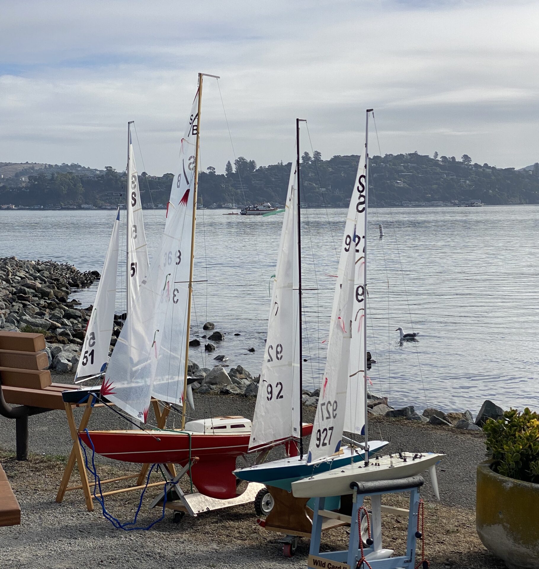 Sausalito Struts Its Stuff at Inaugural Boat Show