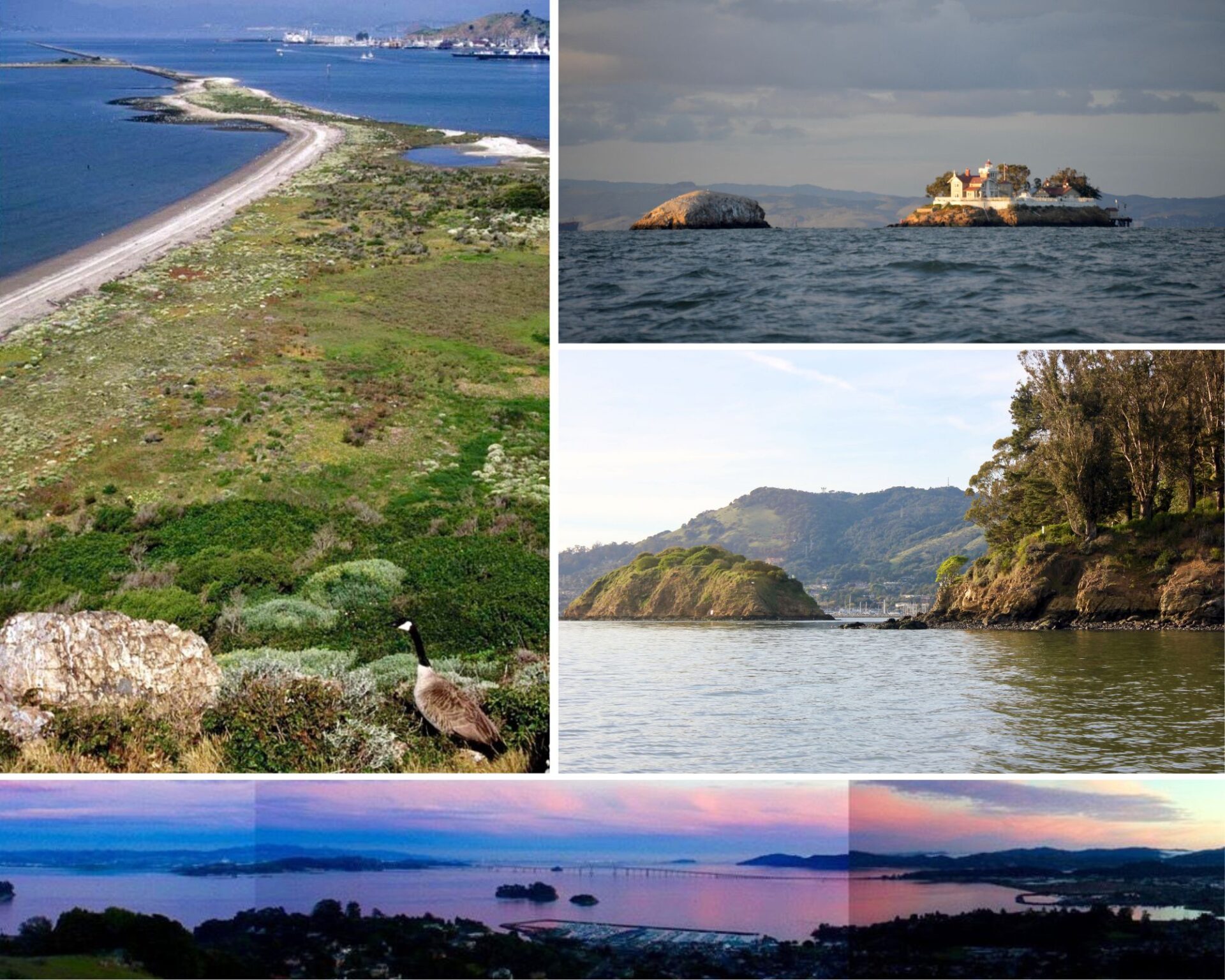 Red Rock, the Least-Famous Island San Francisco Bay, Has a $25 Million ...