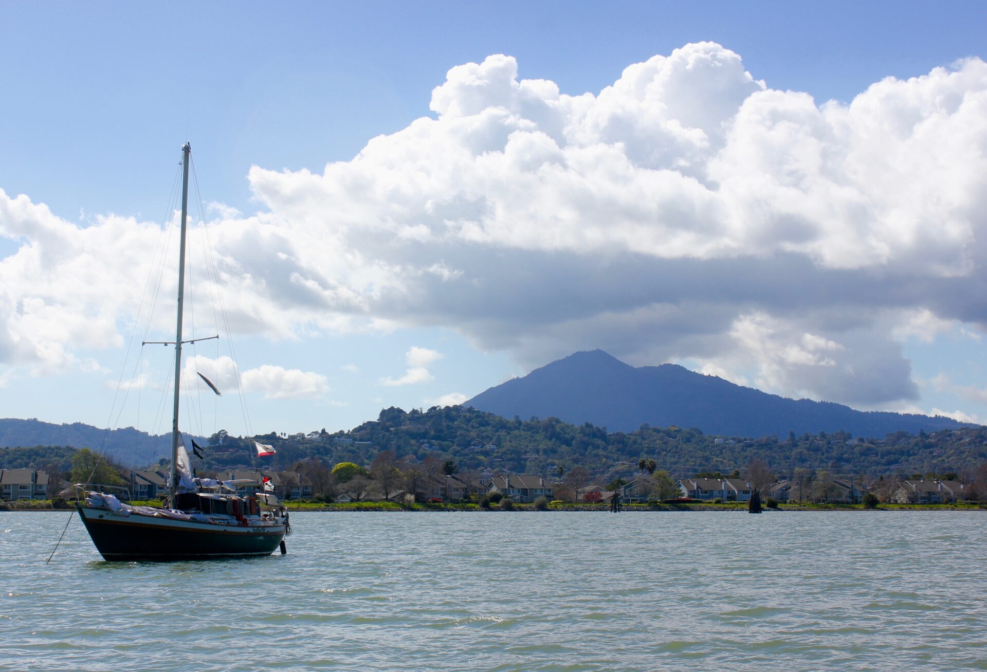 Explore the San Rafael Waterfront and Find a Copy of Latitude 38