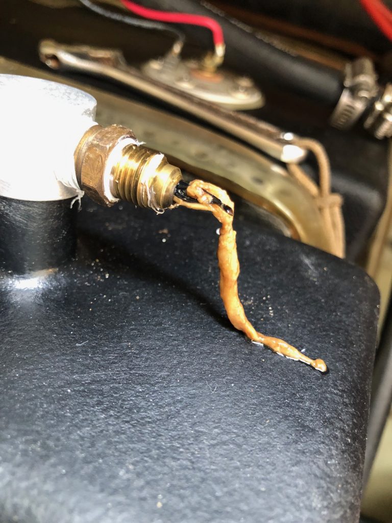 Finding a Weird, Unknown Creature Living Inside my Fuel Tank