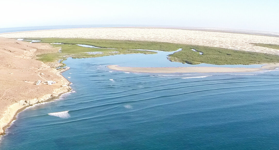 Baja Ha-Ha Updates Part 1— Things To Know Before You Go