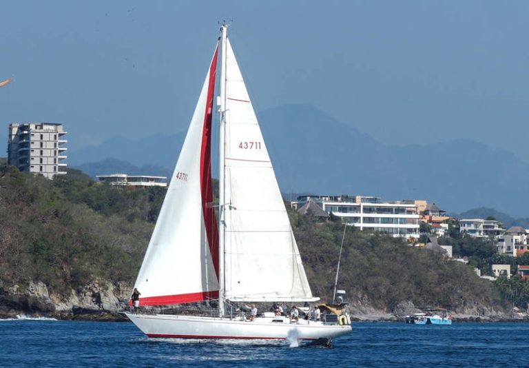 A Whale of a Blast in Banderas Bay