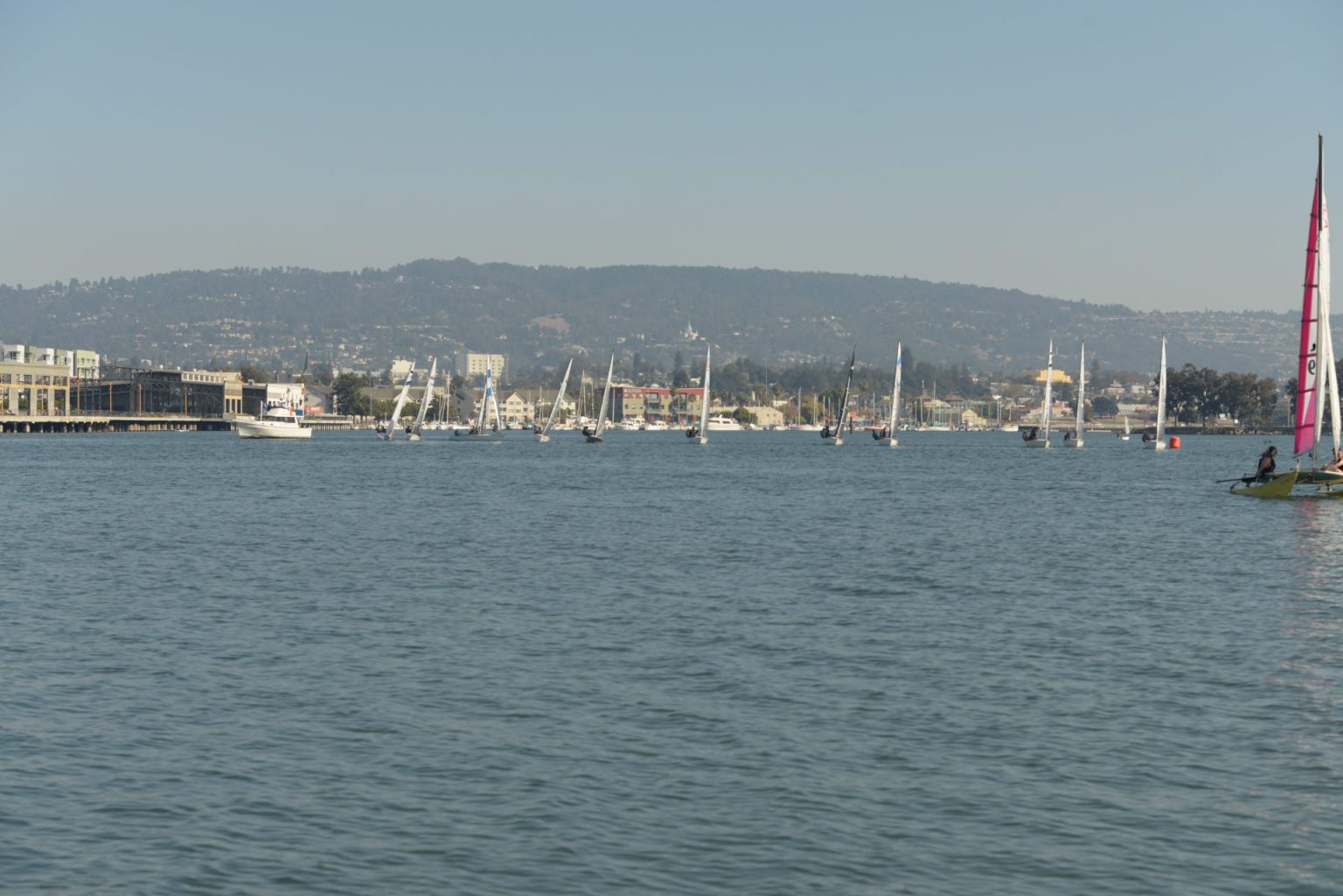 Encinal Yacht Club Hosts 2025 Wylie Wabbit Nationals
